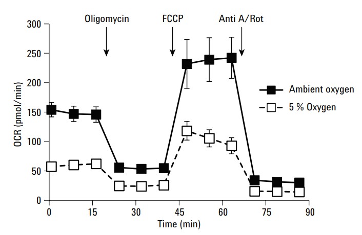 醫學研究部共同研究室